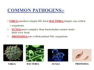 communicble and non communicable diseases SSS.pptx