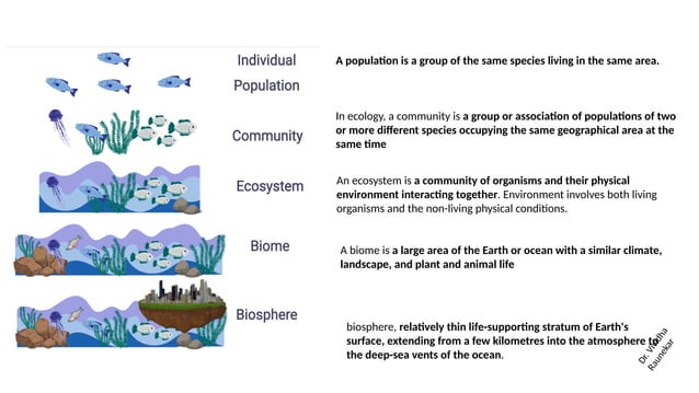 Communities structure and factors affecting | PPT