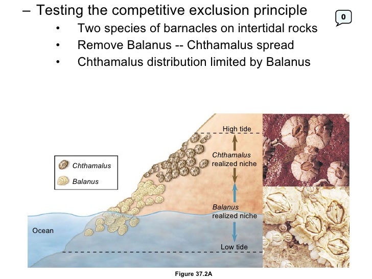 Honors - Communities 1011