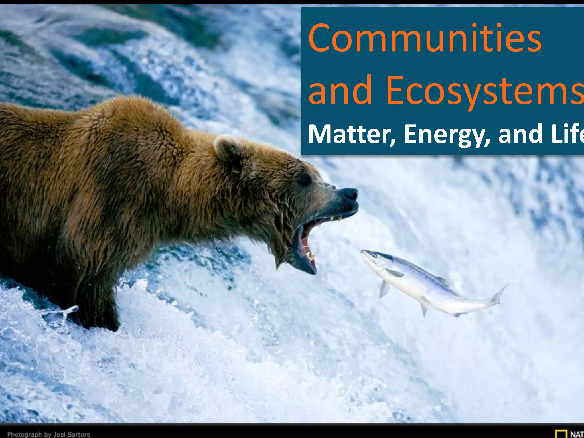Communities and ecosystems | PPT
