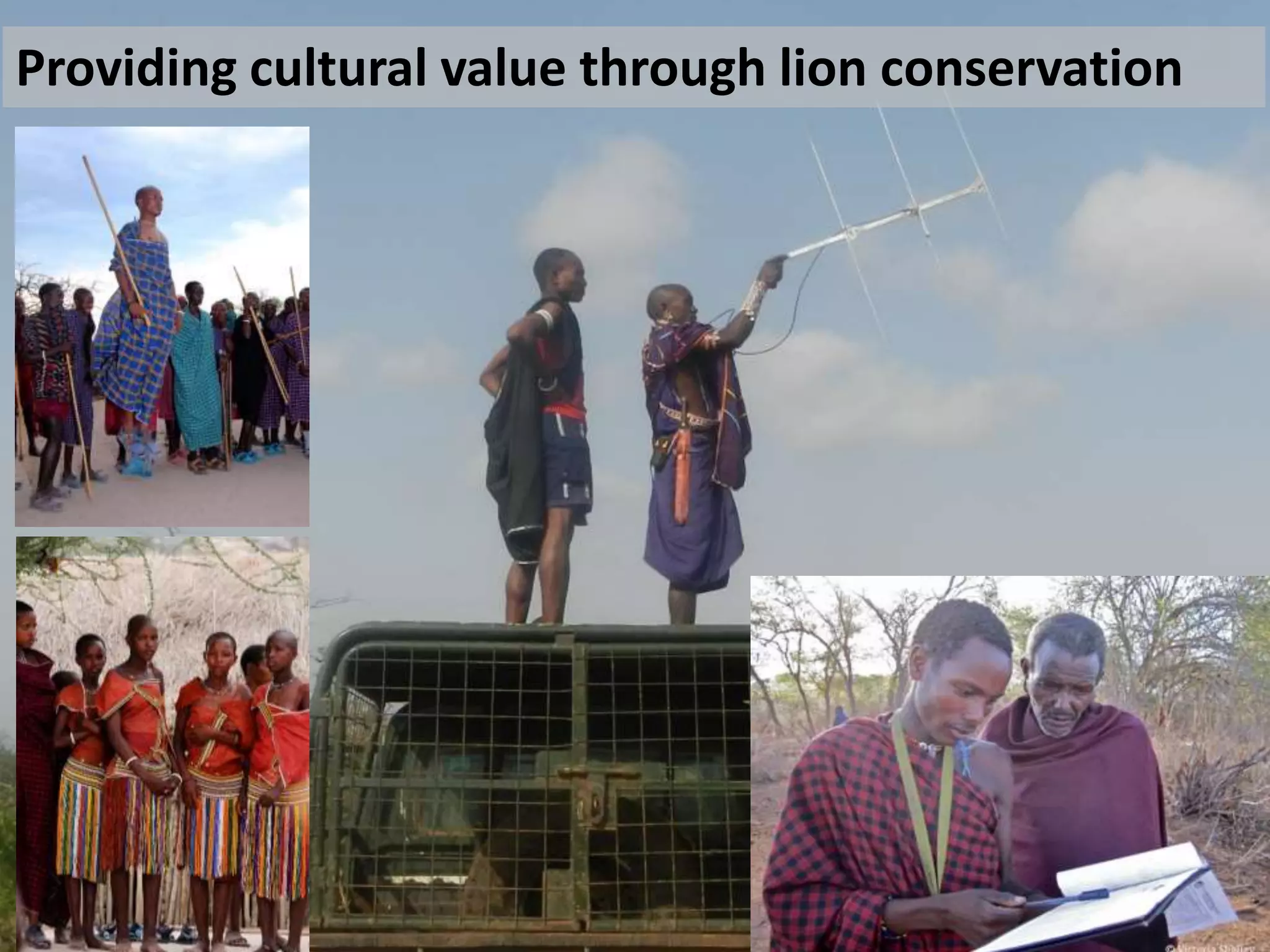 Communities, cats and camera-traps: reducing human-carnivore conflict ...