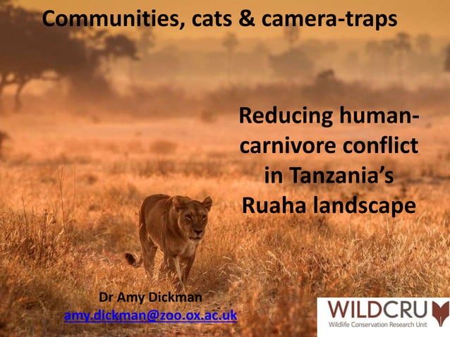 Communities, cats and camera-traps: reducing human-carnivore conflict ...