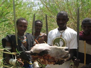 Communities, cats and camera-traps: reducing human-carnivore conflict ...