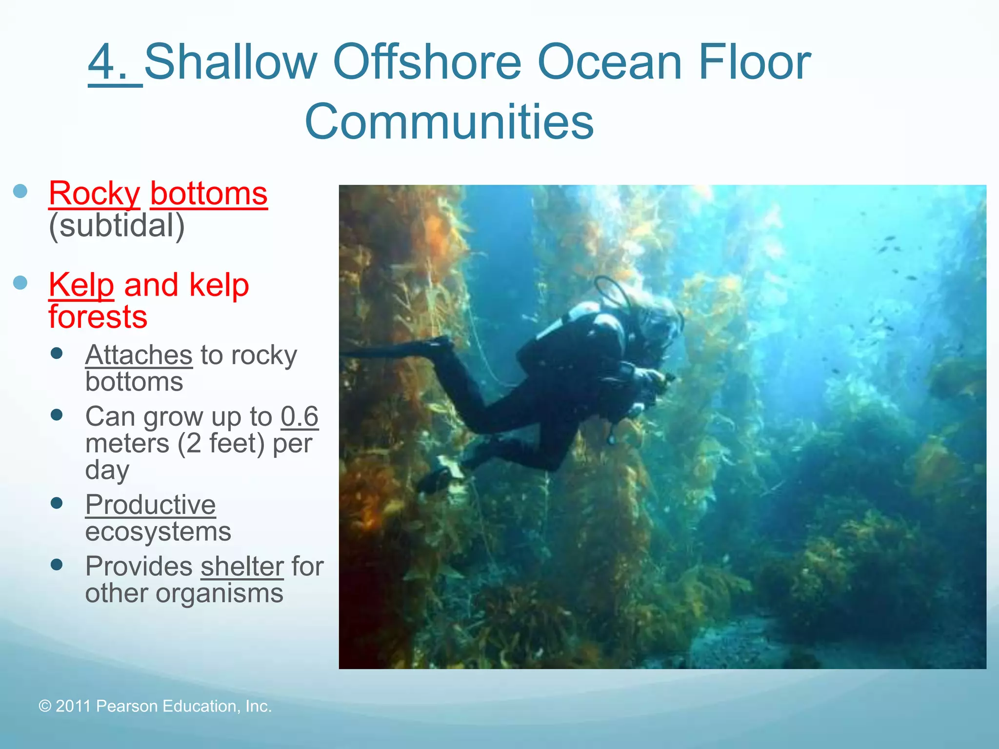 Communities of Rocky Shores | PPTX