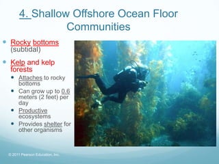 Communities of Rocky Shores | PPTX