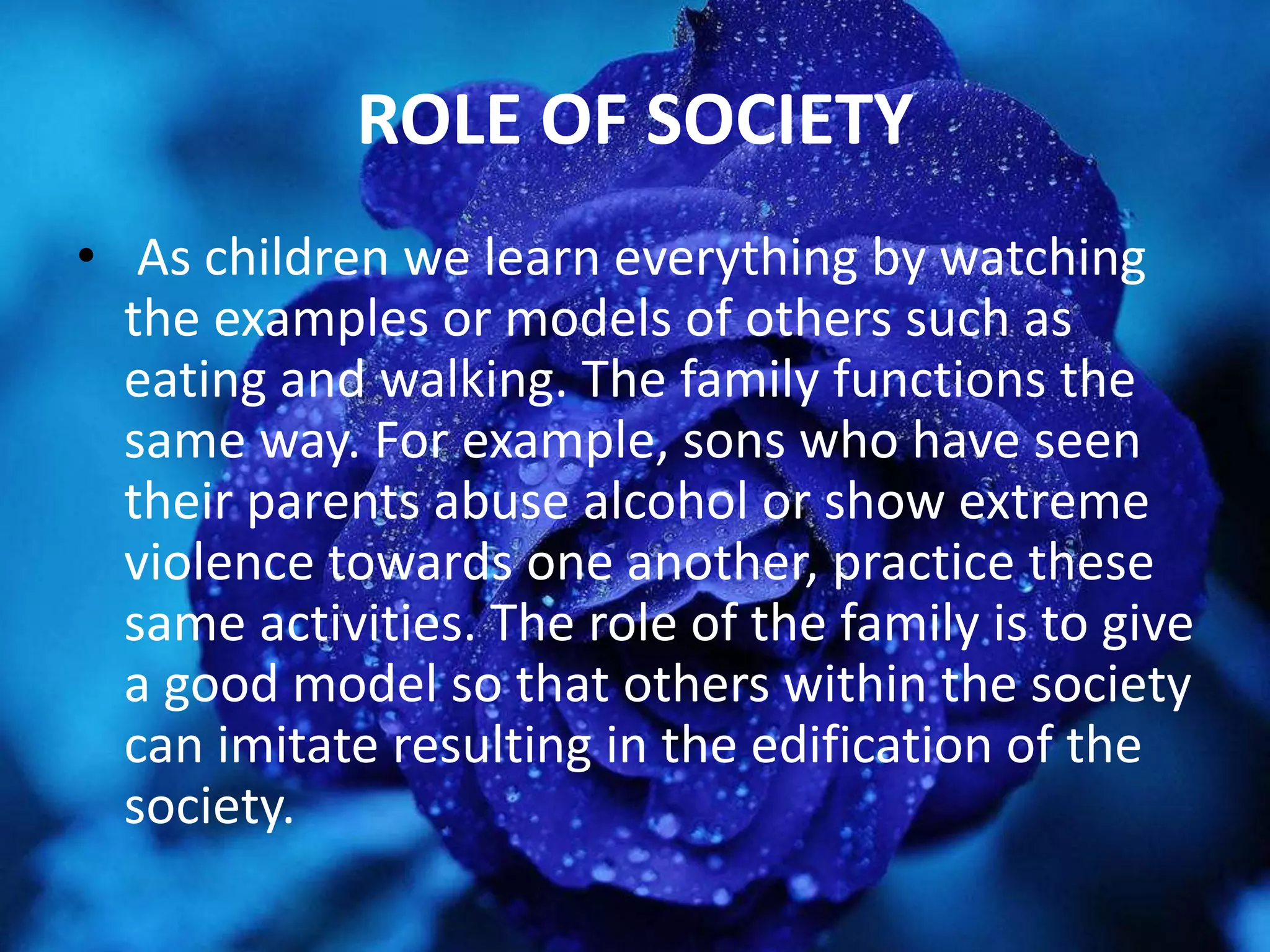 Community,culture,society,families,role of community | PPTX
