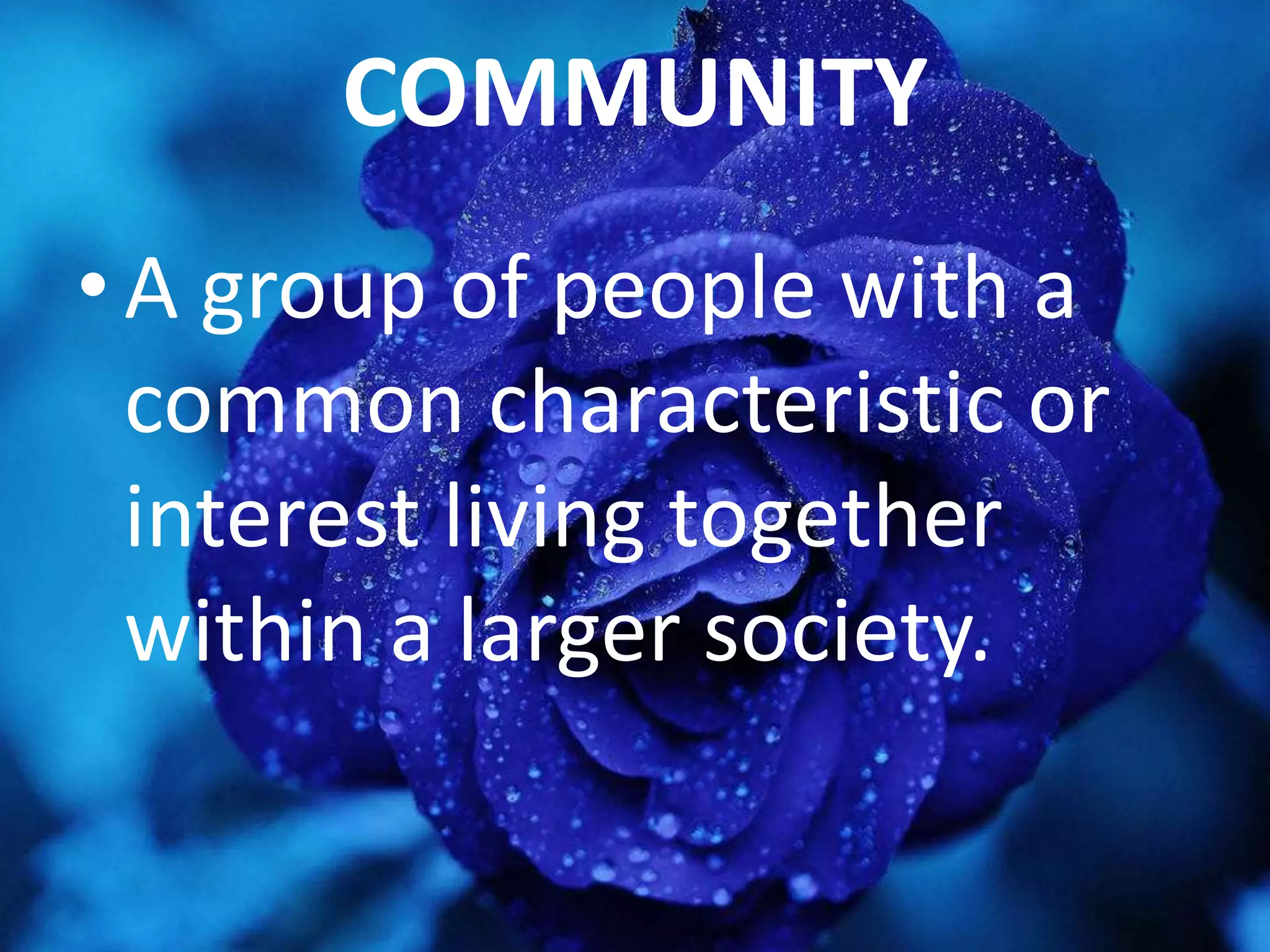 Community,culture,society,families,role of community | PPTX
