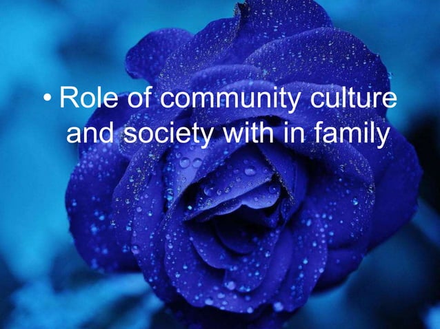 Community,culture,society,families,role of community | PPTX | Adoption ...