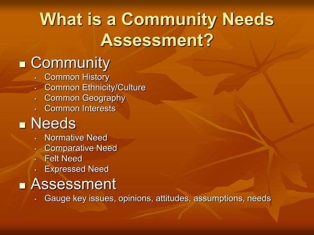 community-needs-assessment-presentation.ppt