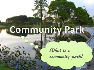 CL Project 1 - Community Park | PDF