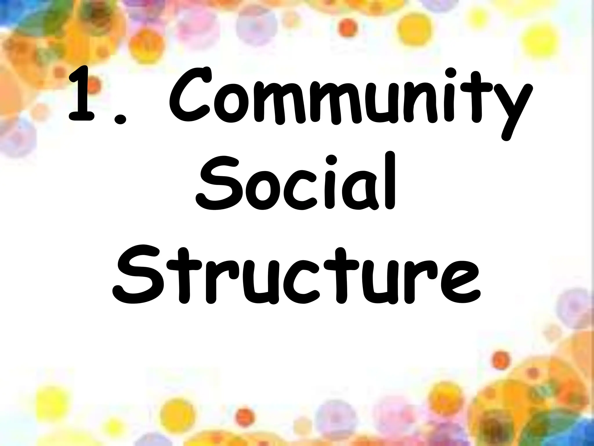 community structures and economic entity-Copy-1.pptx