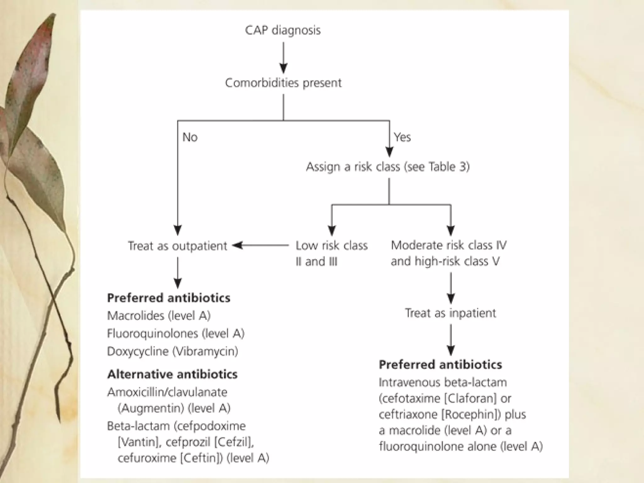 Community acquired pneumonia (cap) | PPT