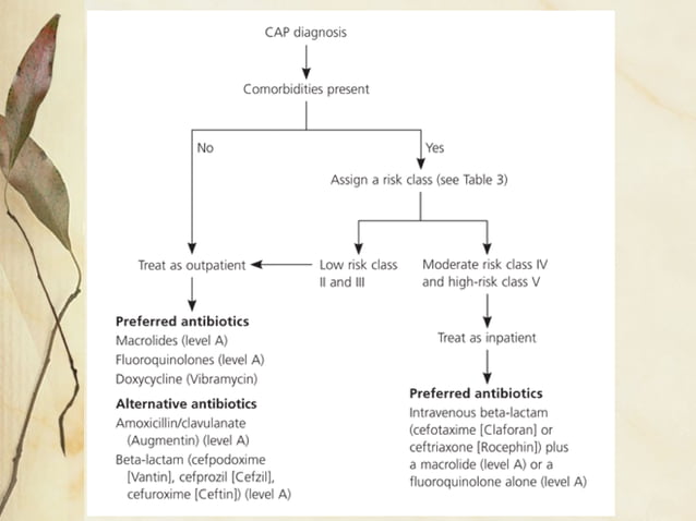 Community acquired pneumonia (cap) | PPT