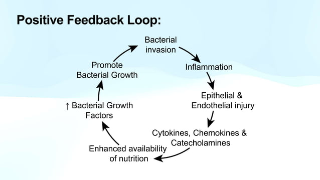 Community Acquired Pneumonia Pathophysiology | PPTX