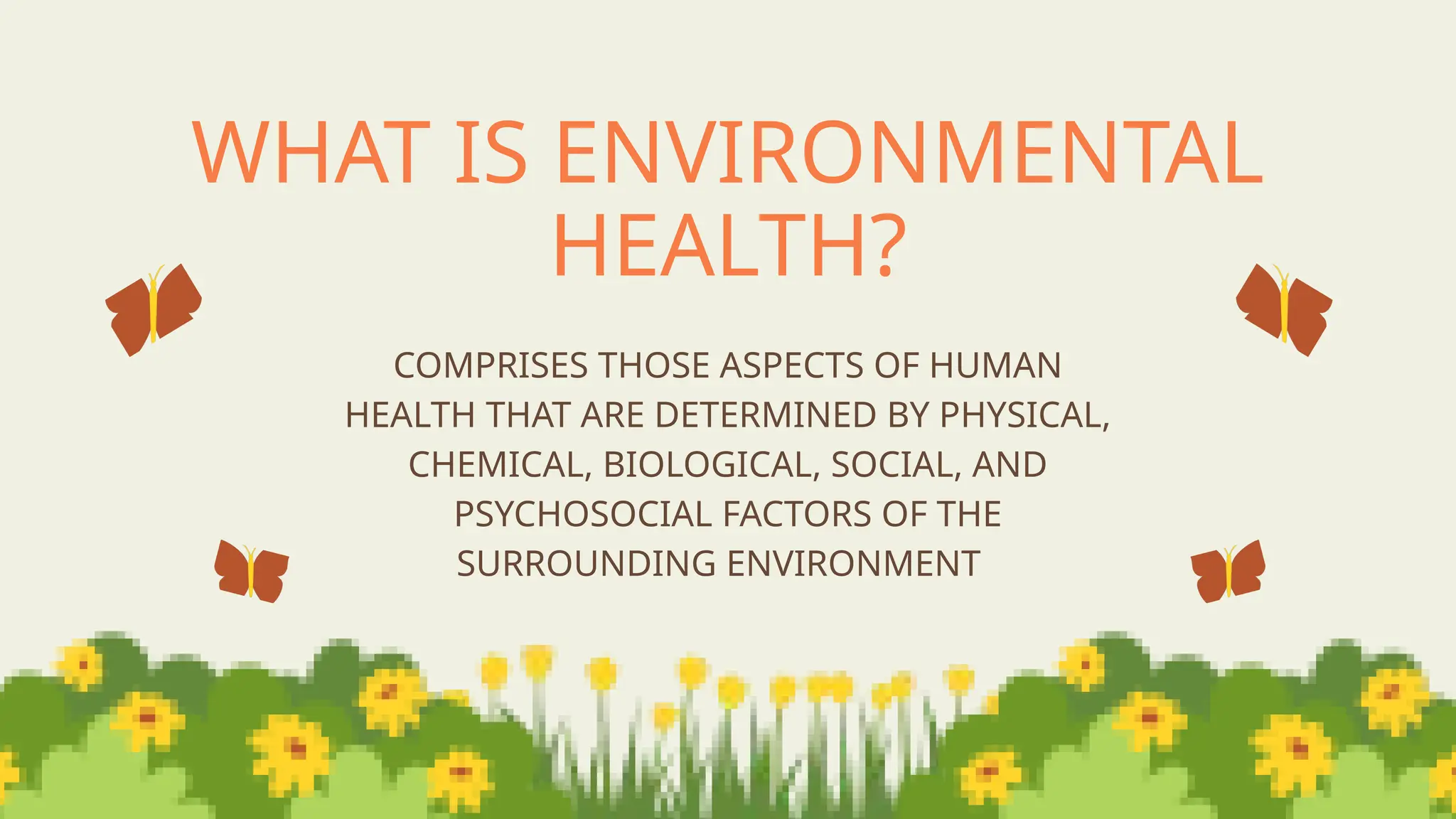 COMMUNITY AND ENVIRONMENTAL HEALTH (1).pptx