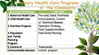 Community and environmental health | PPTX