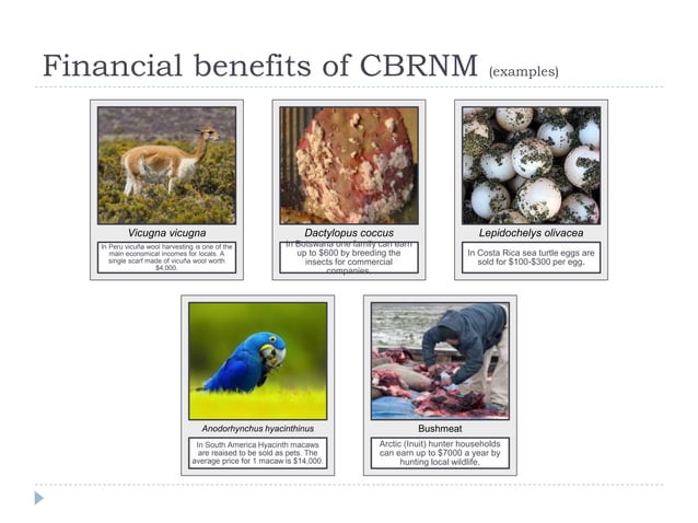 Community based natural resource management | PPTX | Business ...