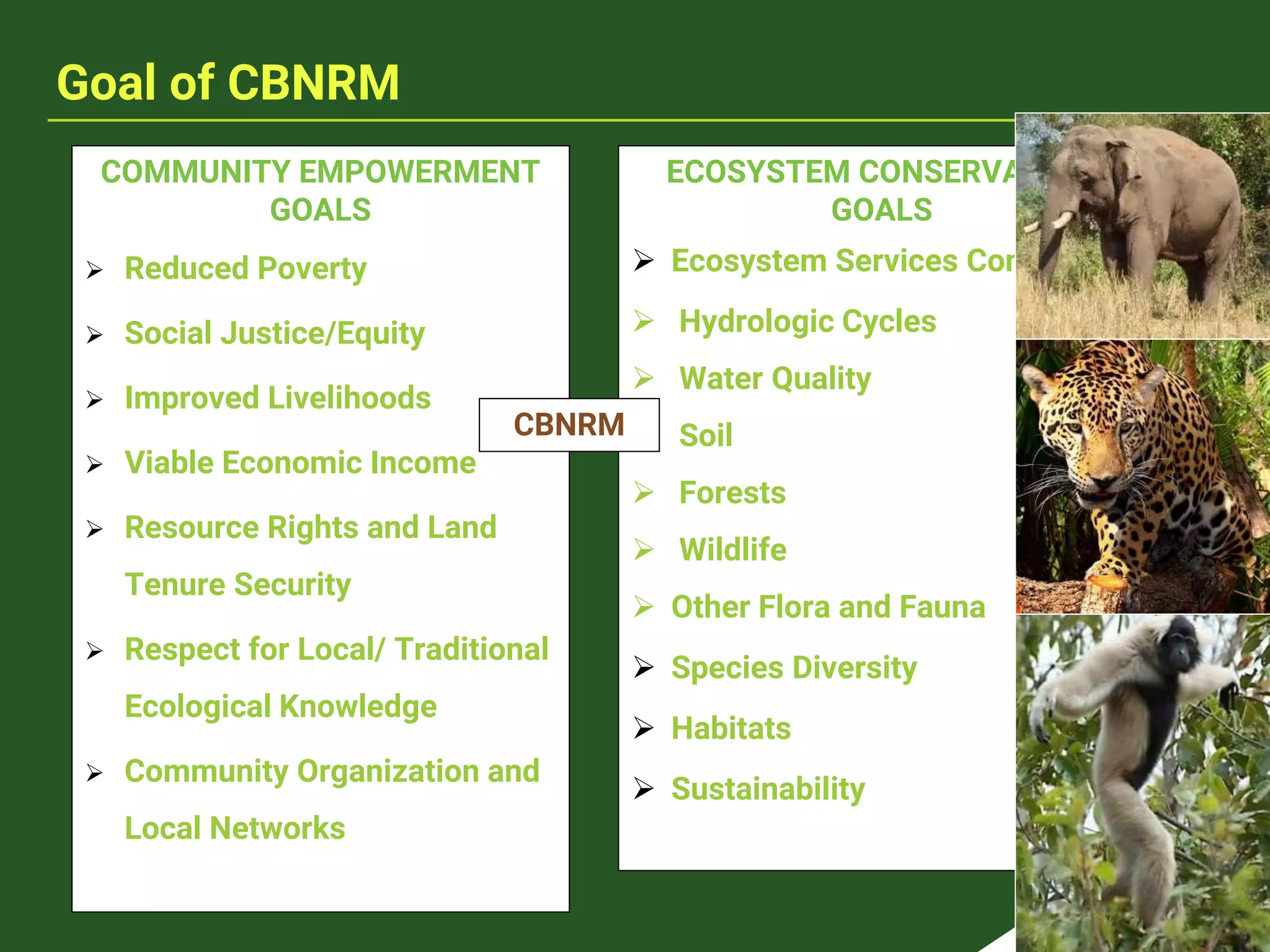 Community based natural resources management in Cambodia | PPTX