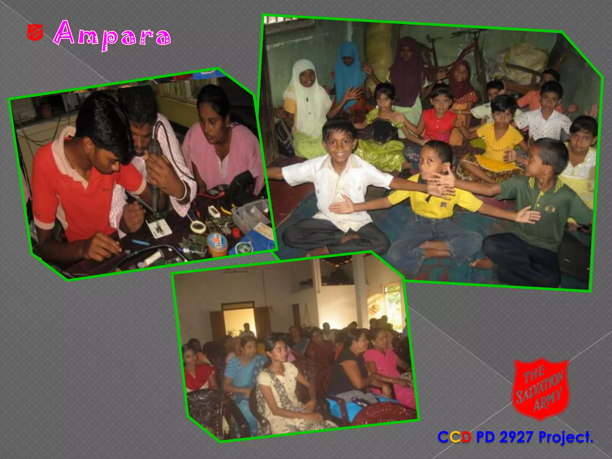 Community capacity development_project1 | PPTX