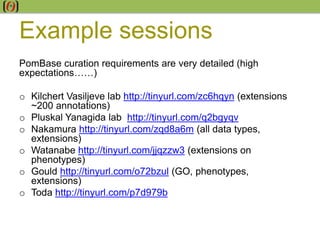 Community curation at PomBase | PPT