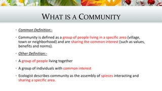 Community development and tourism | PPTX | Developmental Sites | Real ...