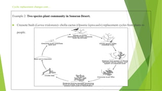 COMMUNITY DYNAMICS CHARACTERISTICS- CYCLIC AND NON-CYCLIC REPLACEMENT ...