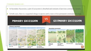 COMMUNITY DYNAMICS CHARACTERISTICS- CYCLIC AND NON-CYCLIC REPLACEMENT ...