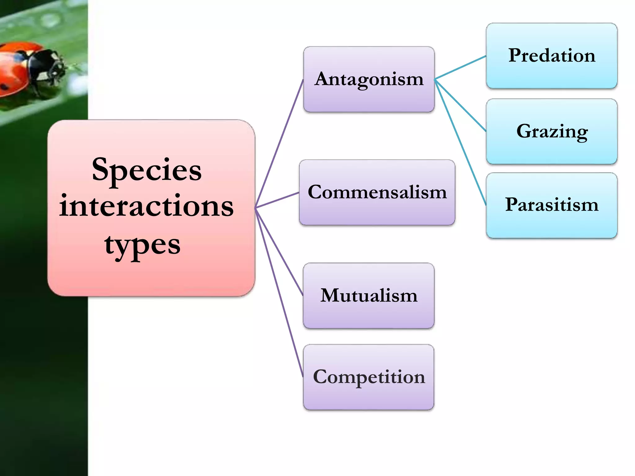 Community ecology | PPTX