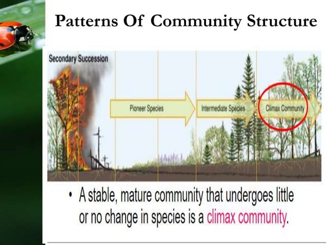 Community ecology | PPTX | Geography | Science