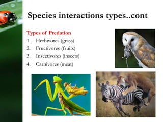 Community ecology | PPTX