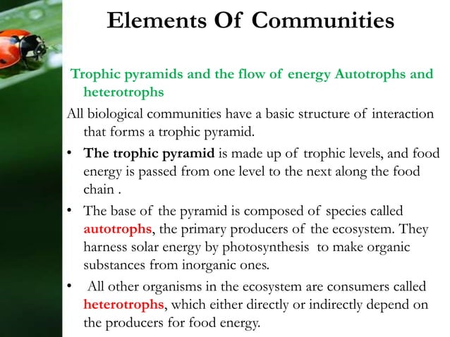 Community ecology | PPTX | Geography | Science