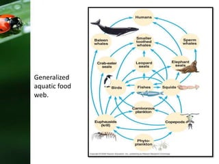 Community Biology Definition