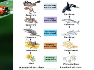 Community Biology Example