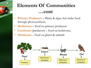 Community Examples Ecology