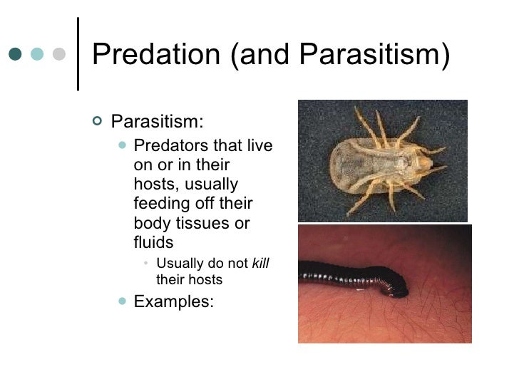 Parasitism Animals