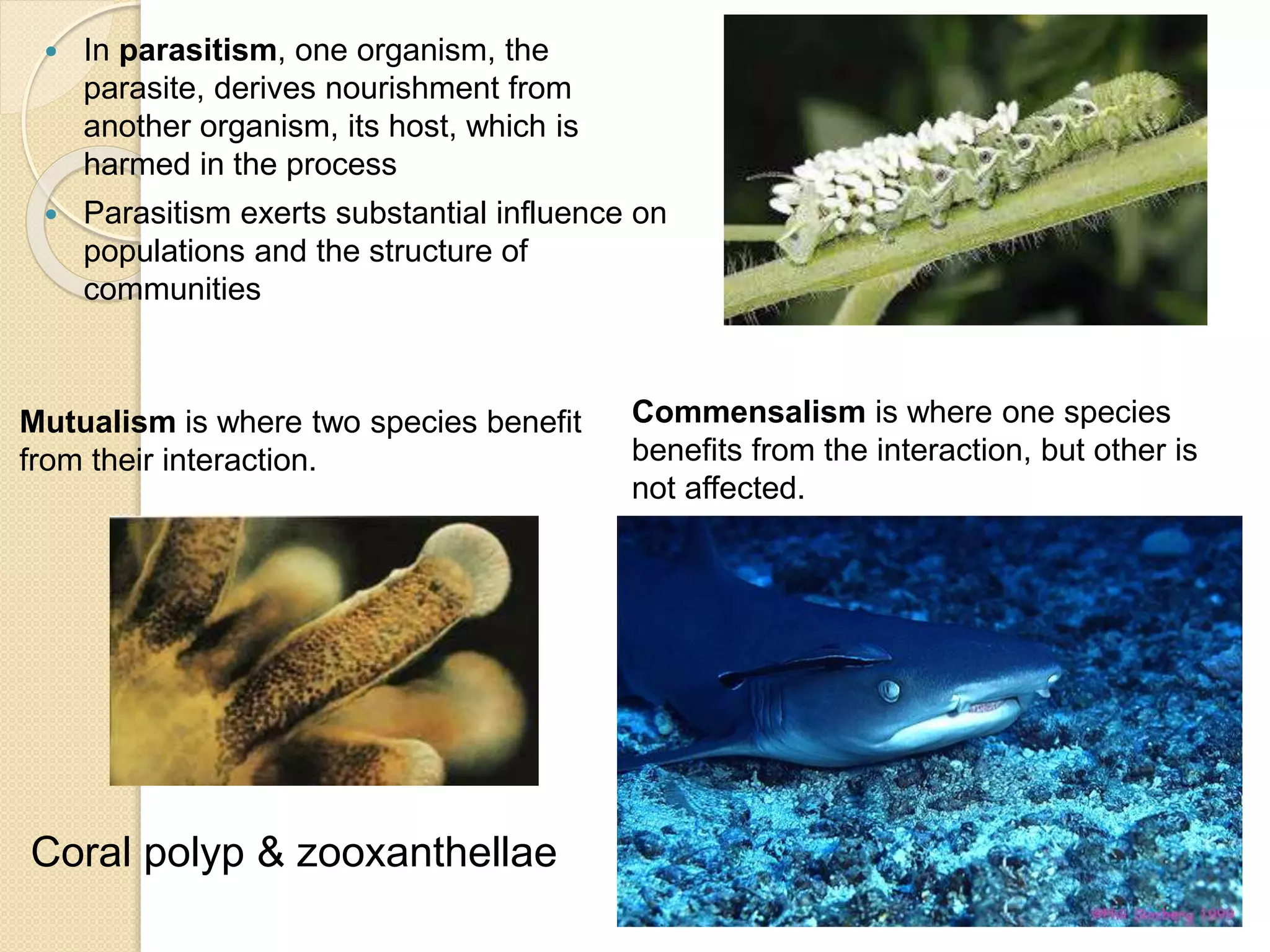 Community ecology | PPTX