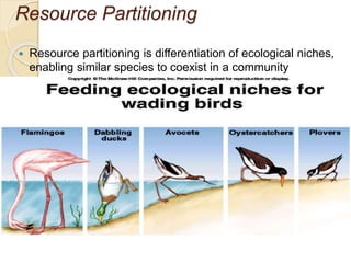 Community ecology | PPTX