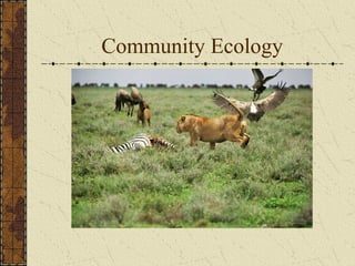 Community Ecology - characteristics and stratification | PPT