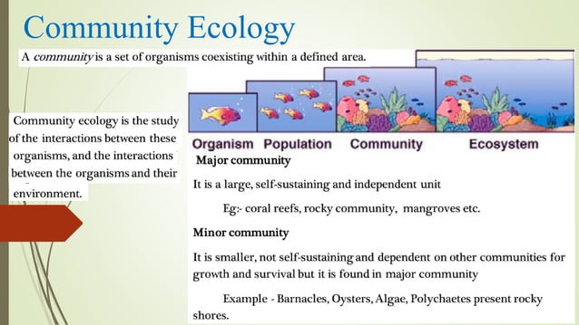 Community Ecology and characteristics of communities | PDF