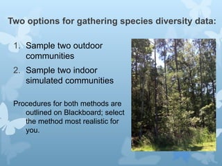 Community ecology lab - species diversity | PPT