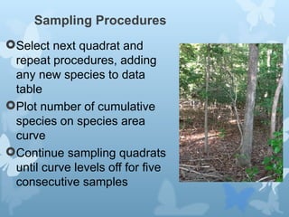 Community ecology lab - species diversity | PPT