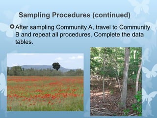 Community ecology lab | PPT