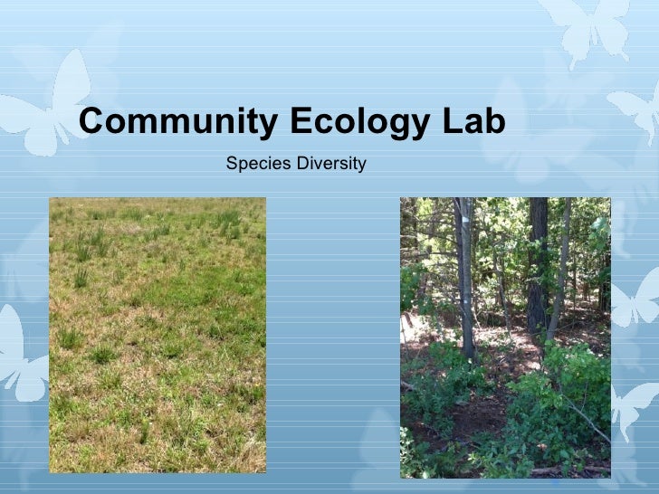 Community ecology lab Community ecology lab