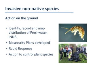 Community engagement examples | PDF | Landscaping | Home & Garden