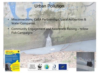 Community engagement examples | PDF | Landscaping | Home & Garden