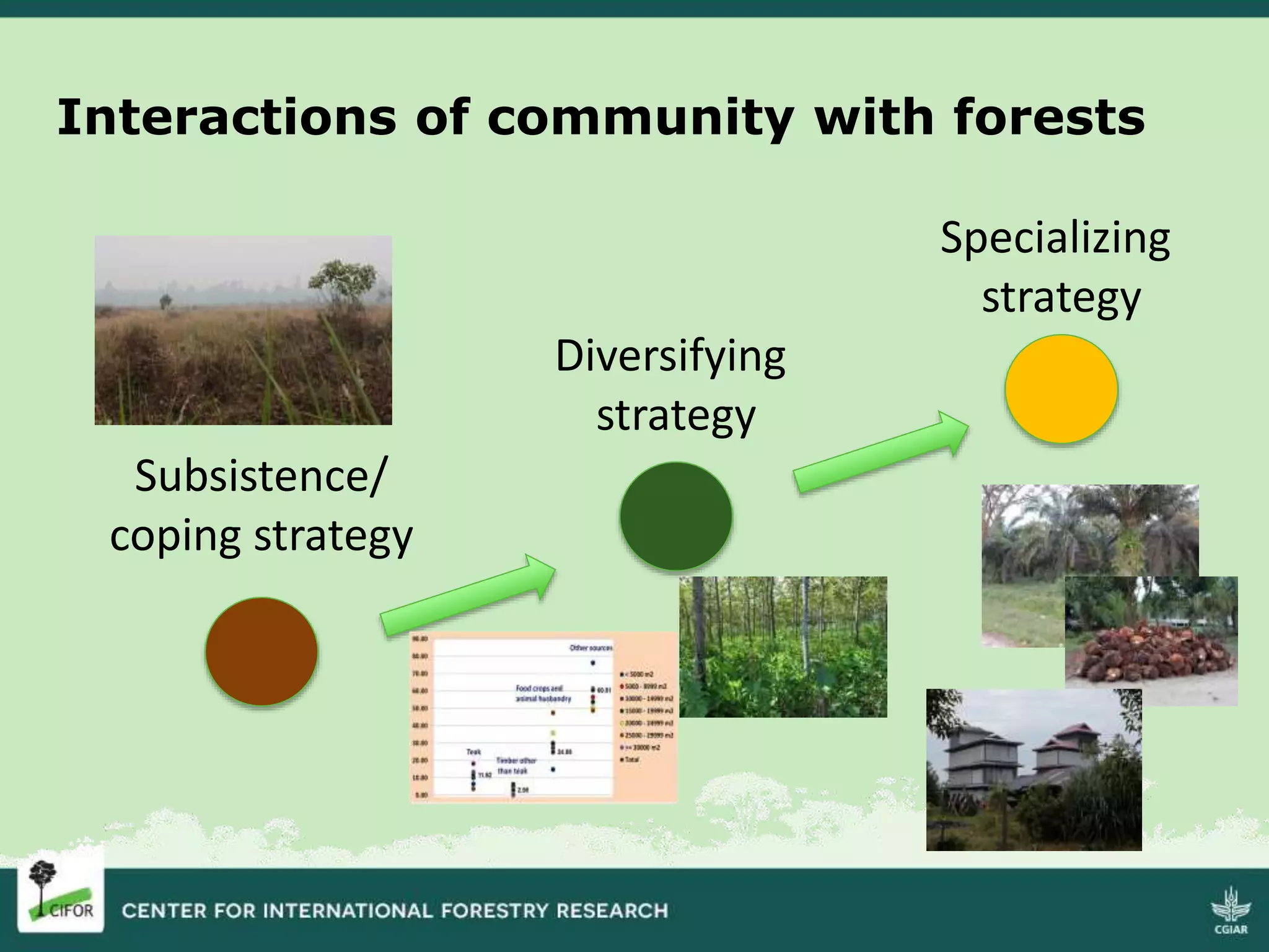 Community Forestry: Lessons from Indonesia | PPTX