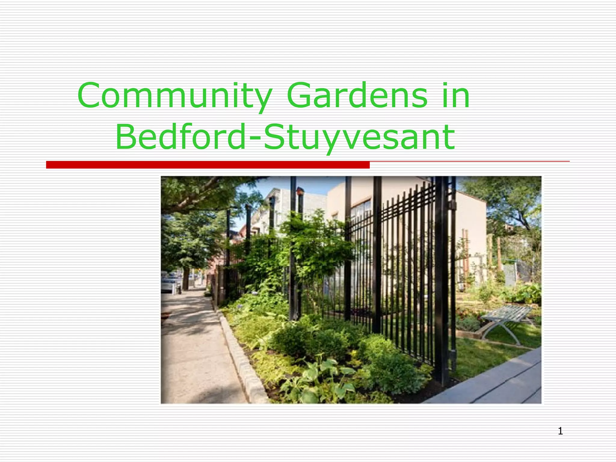 Community gardens project | PPT