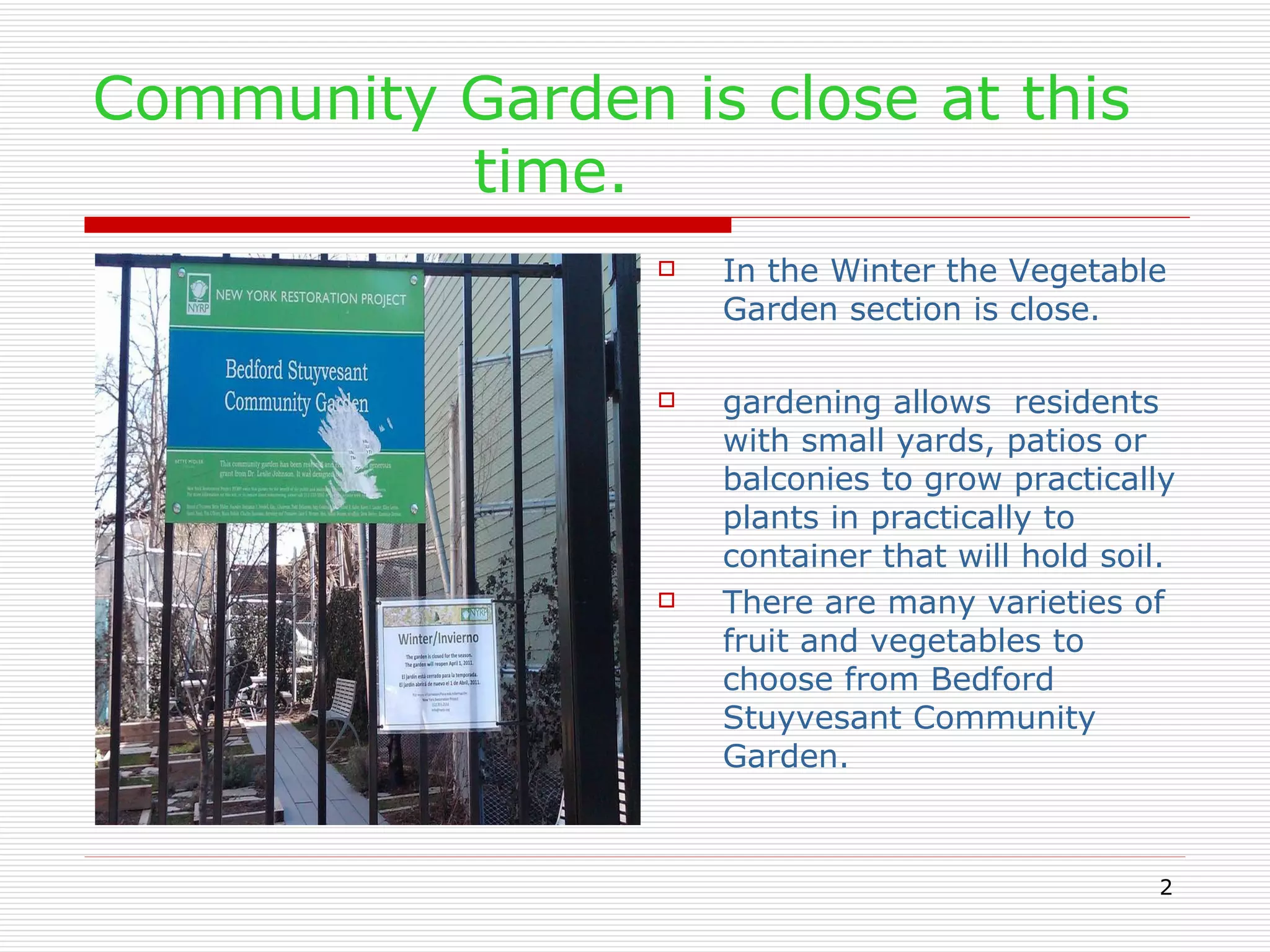 Community gardens project | PPT