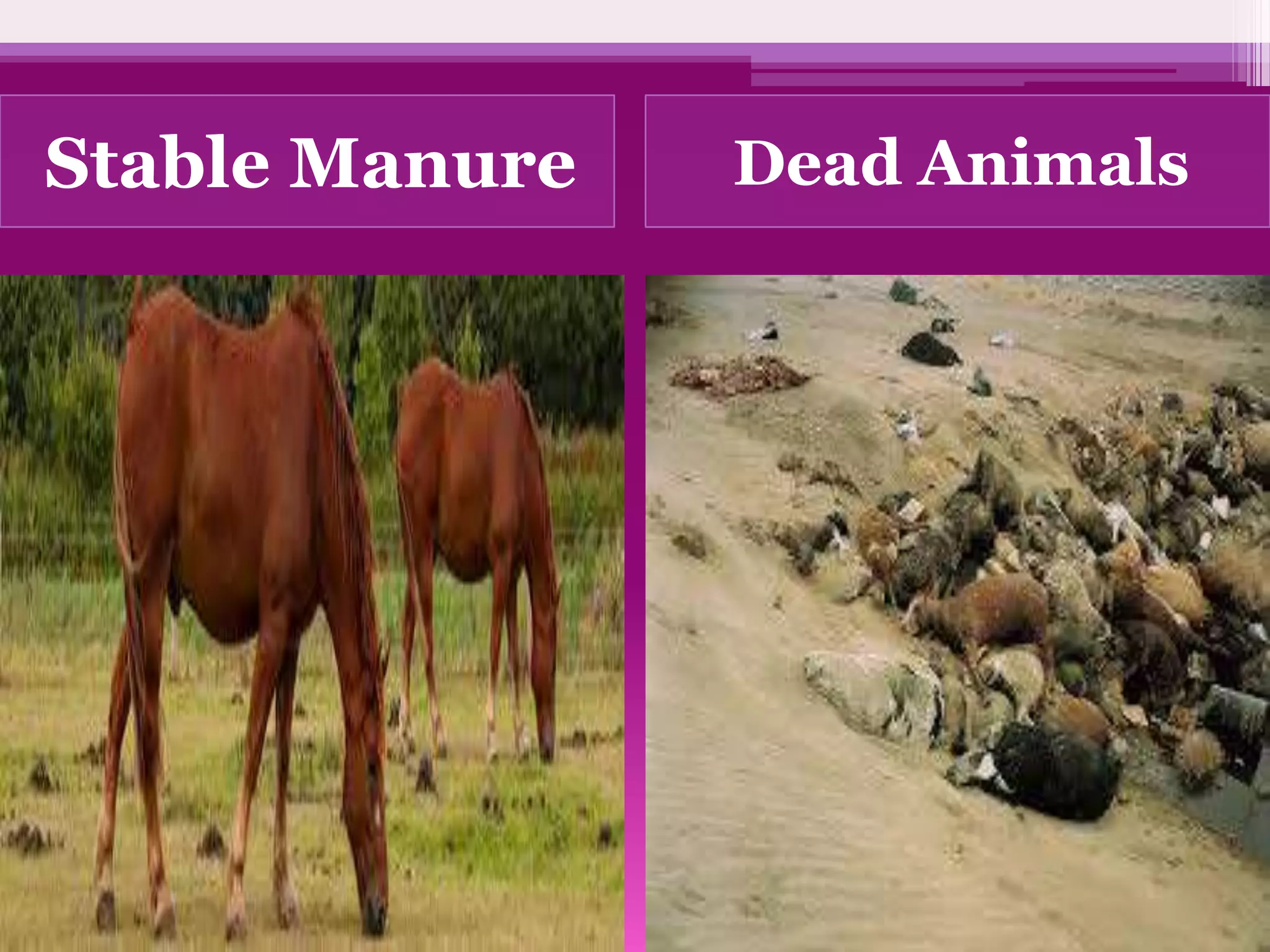 Community health problems | PPT