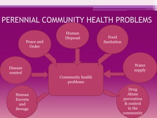 Community health problems | PPT